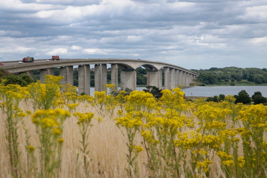 Our Projects | Wildlife Wise